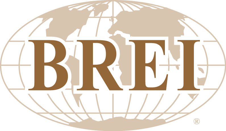 Who is BREI? – Business Retention and Expansion International